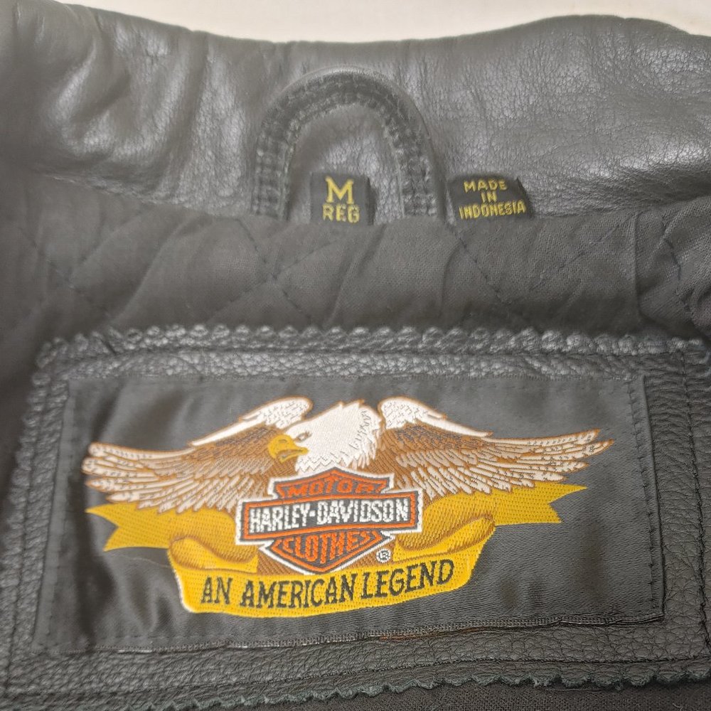 Harley Davidson Men’s Border Hawk Leather Jacket Medi… - Gem